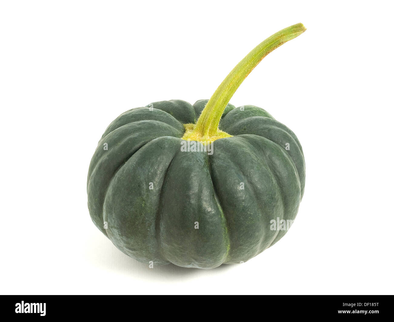 Green Pumpkin