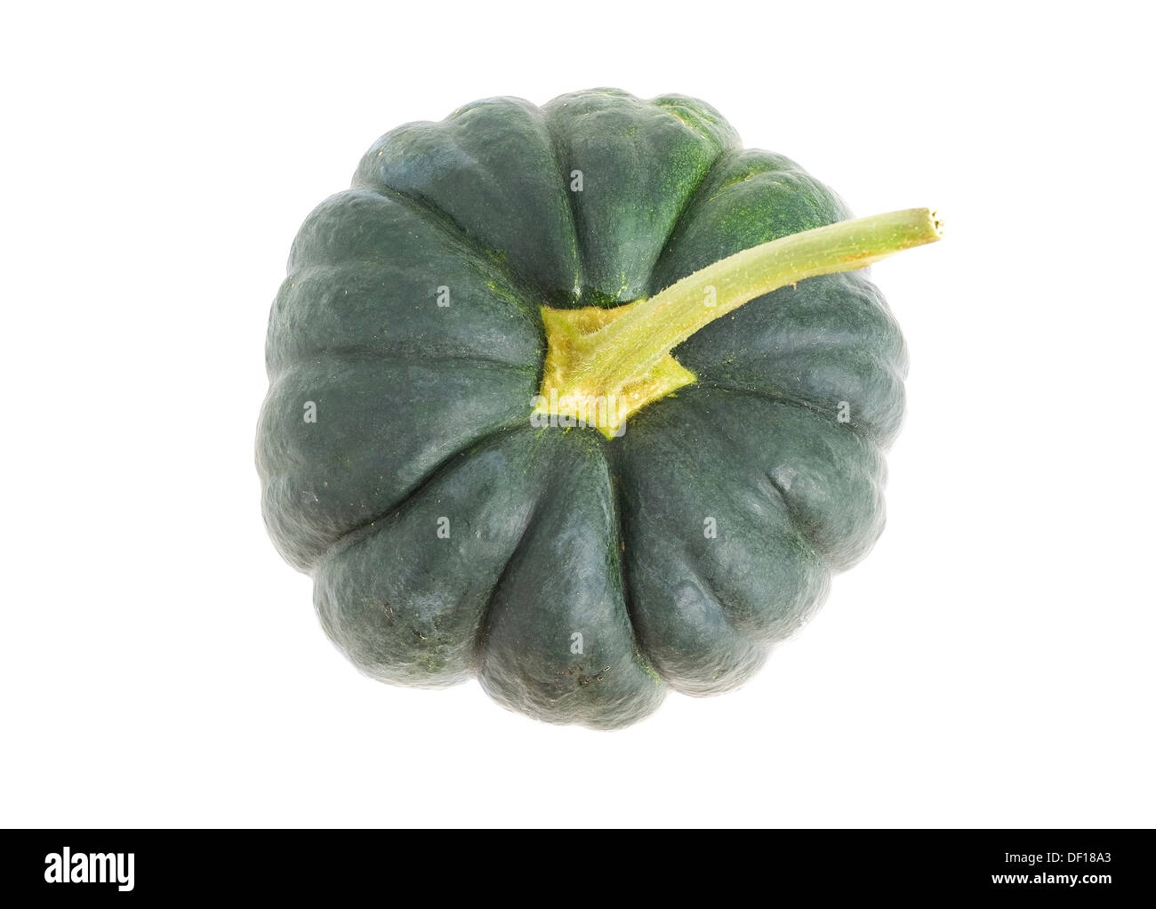 Green pumpkin in an overhead shot and isolated on white background ...