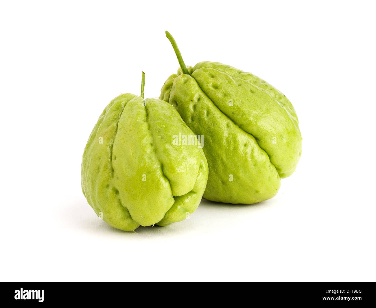 Two Chayote isolated on white background Stock Photo - Alamy