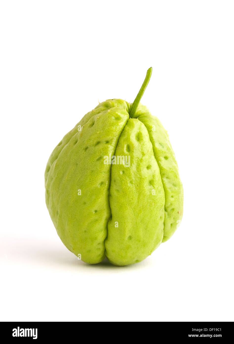 One Chayote isolated on white background Stock Photo - Alamy