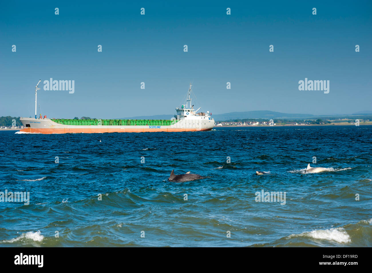 Container ship and dolphins Stock Photo - Alamy