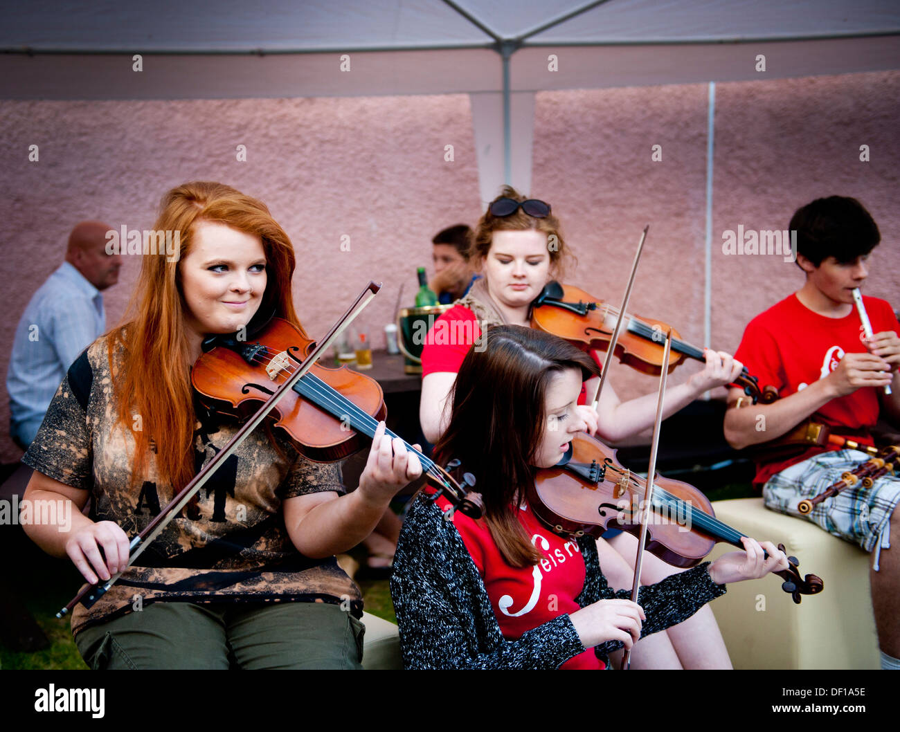 Fiddles hi-res stock photography and images - Alamy