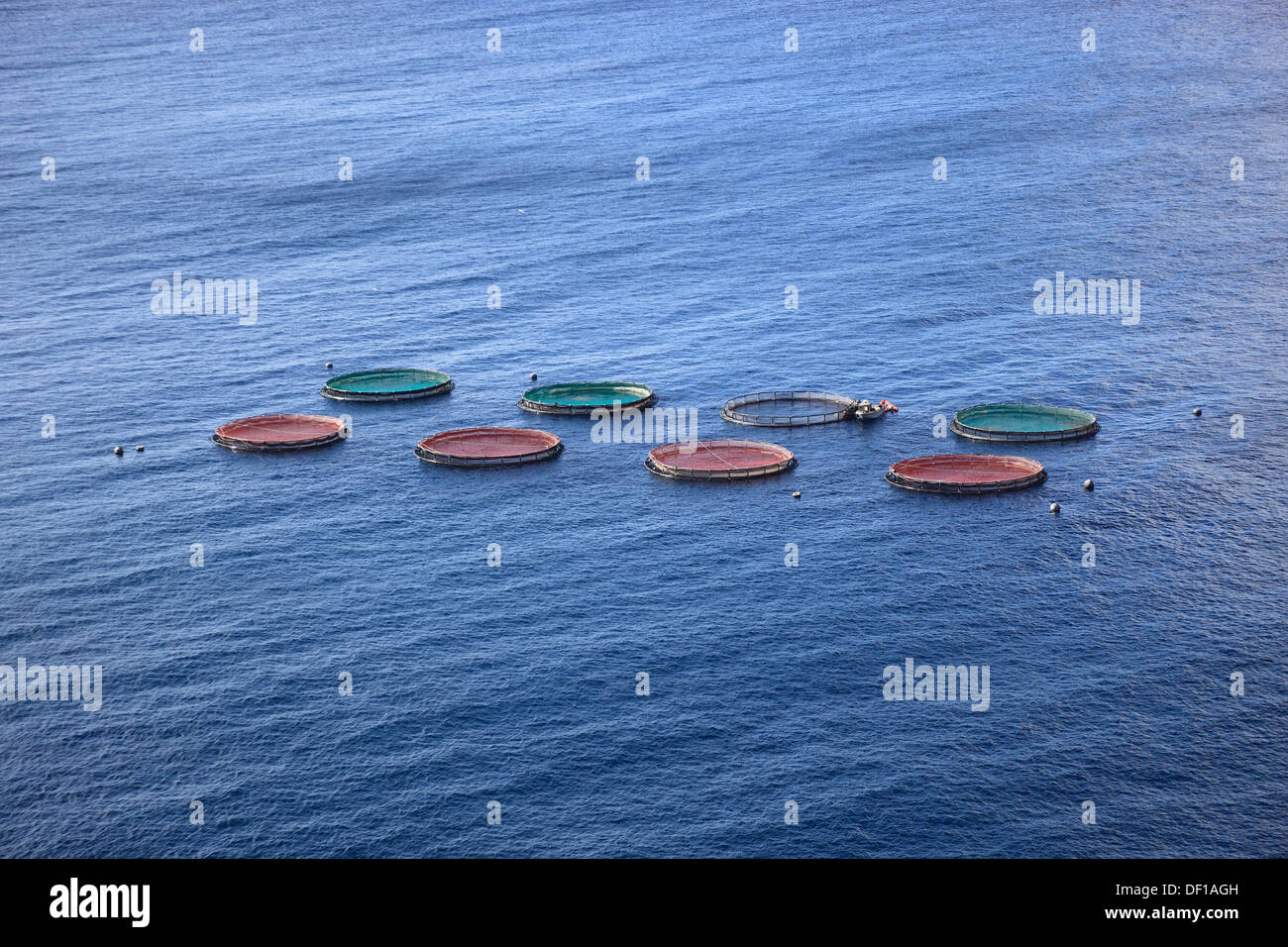 Fish off the point hi-res stock photography and images - Alamy