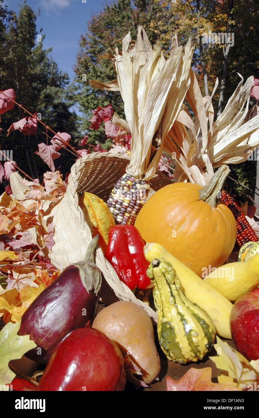 Thanksgiving Cornucopia Stock Photos & Thanksgiving Cornucopia Stock ...