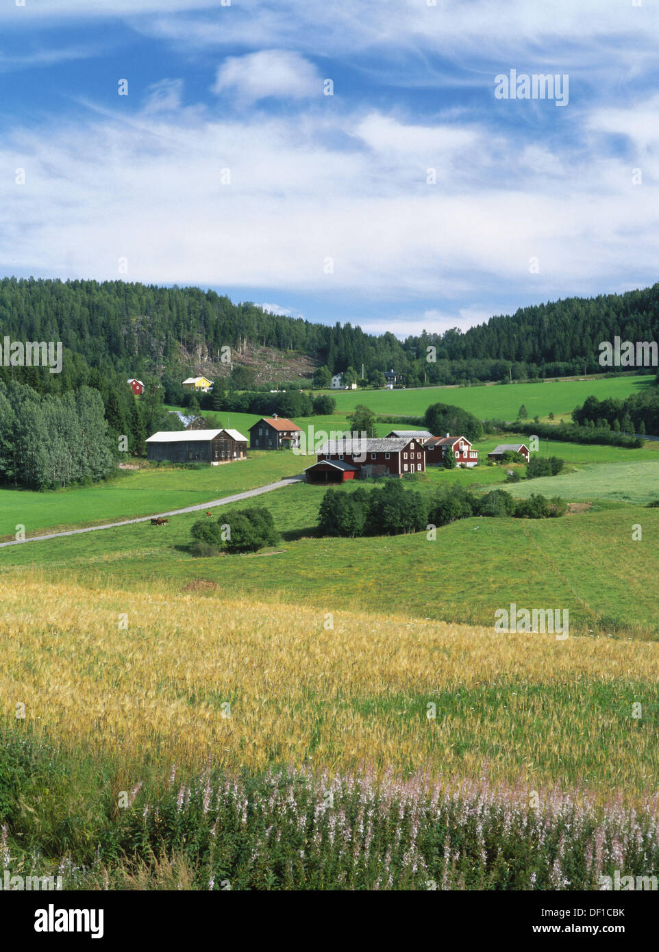 Backland High Resolution Stock Photography and Images - Alamy