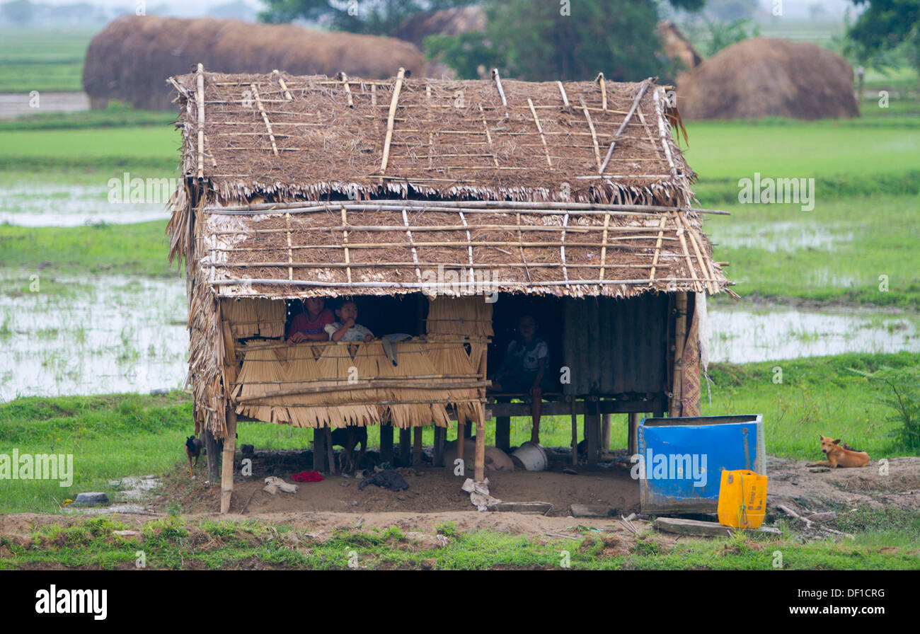 Rice field house hi-res stock photography and images - Alamy