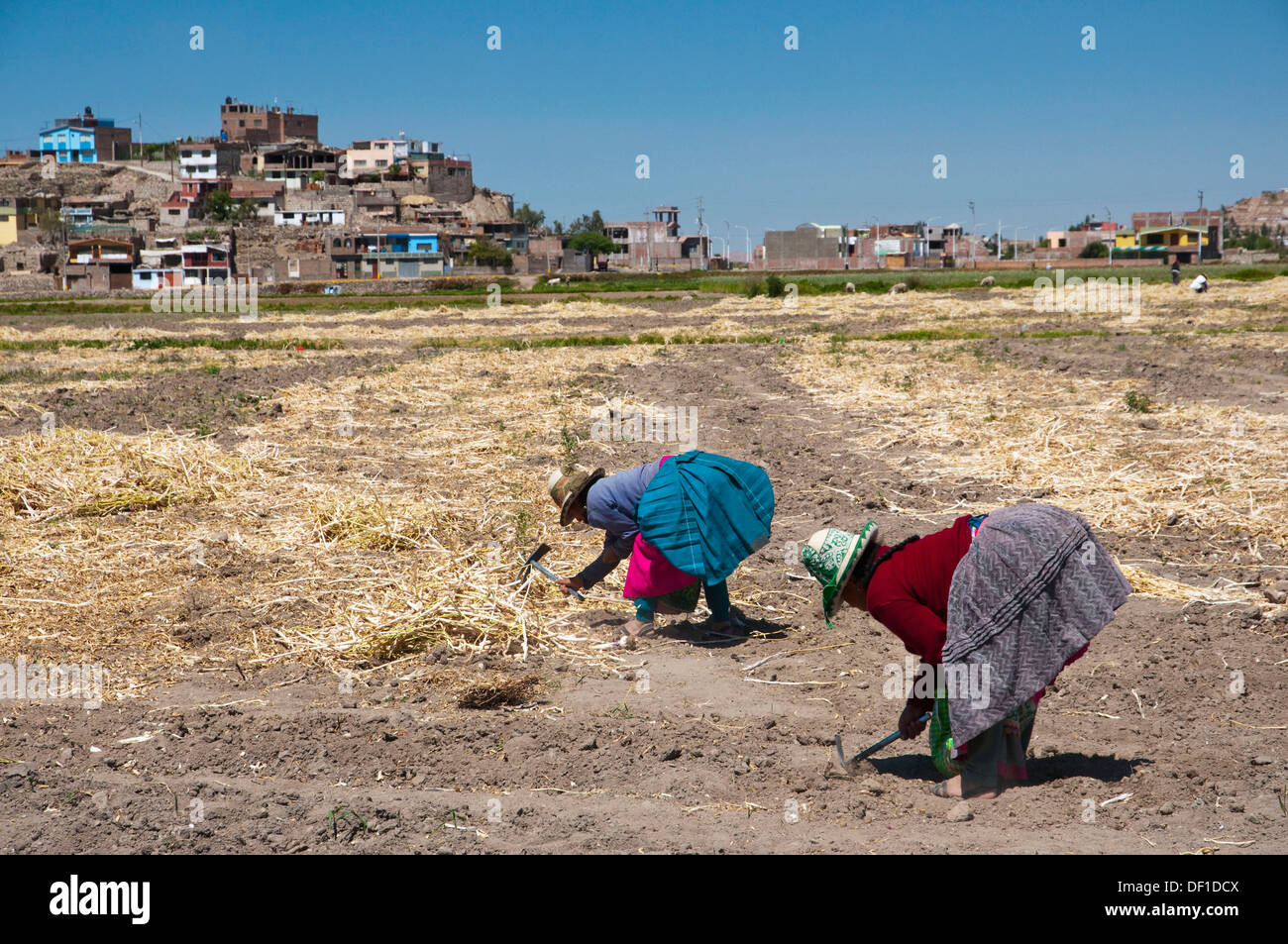 Agricultural worker workers hi-res stock photography and images - Alamy