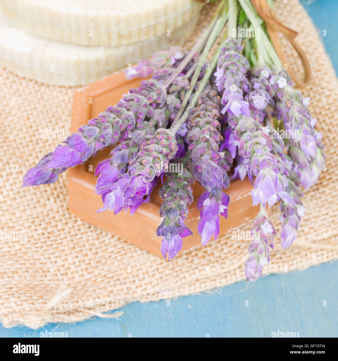 Lavender flowers and soap Stock Photo - Alamy