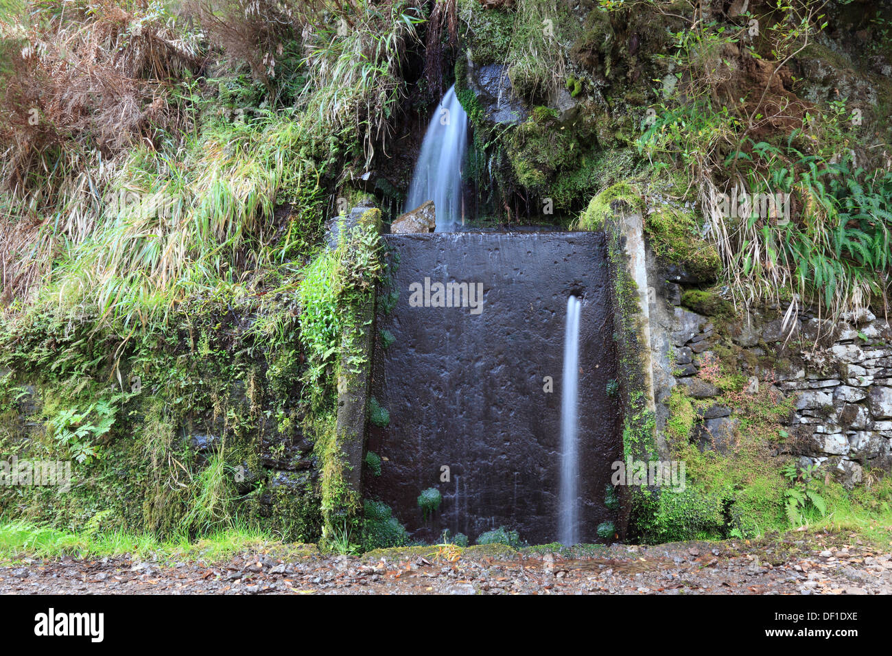 Madeira island, landscape, field trips Rabacal, the Levada do Risco to ...
