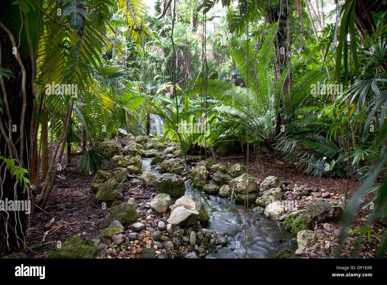 Miami tropical hi-res stock photography and images - Alamy