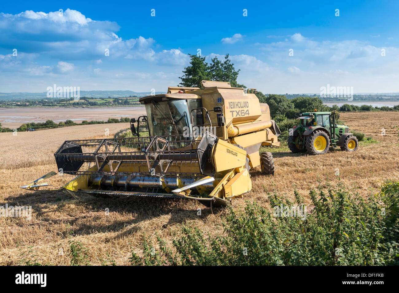 COMBINE HARVESTER AND TRACTOR IN WHEAT FIELD NR RIVER SEVERN ...