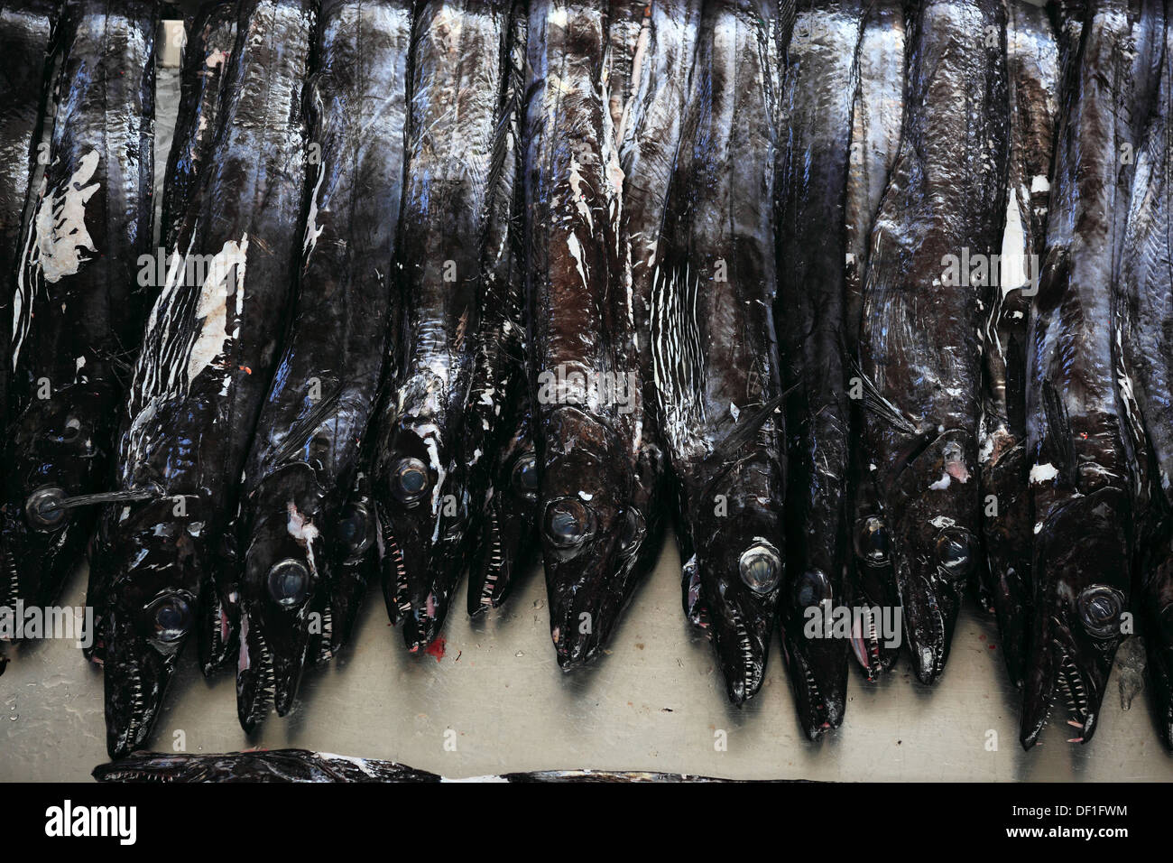 Madeira Island, Black sword fish, Aphanopus carbo Stock Photo - Alamy