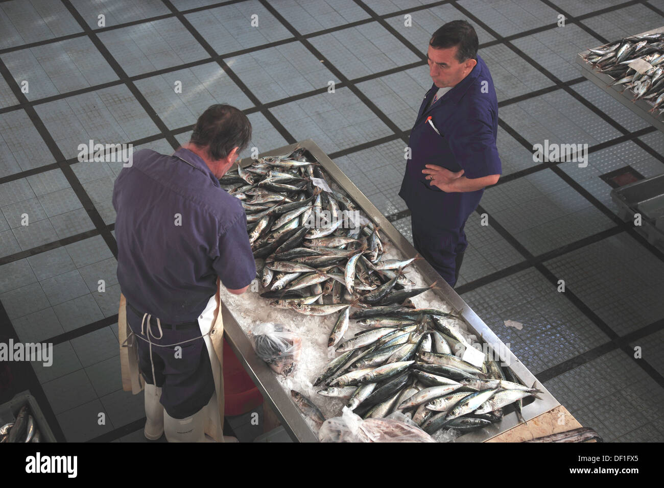 Black sword fish hi-res stock photography and images - Alamy