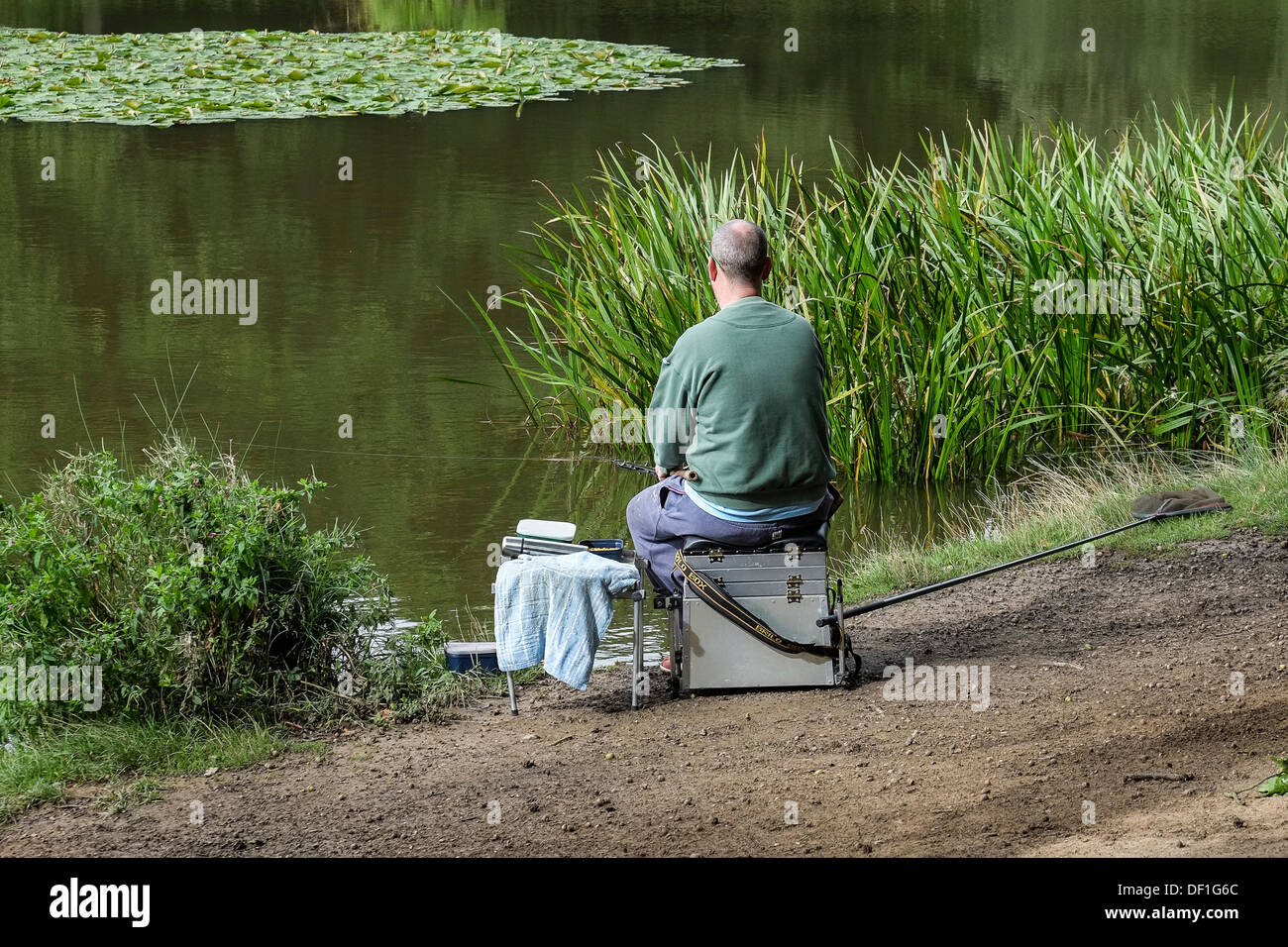 An angler fishing in Old Hall Pond in Thorndon Country Park in Essex ...