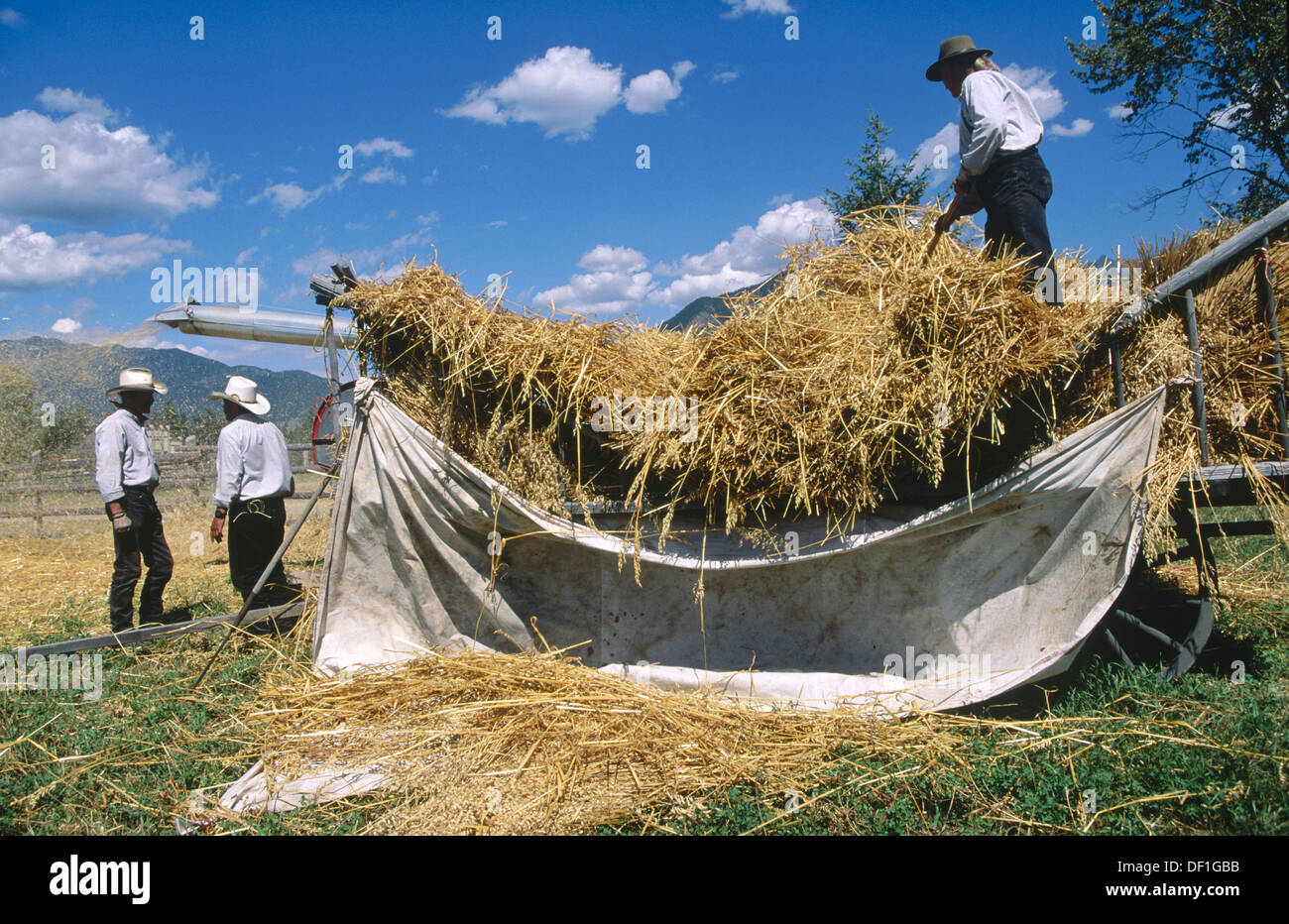 Field workers hi-res stock photography and images - Alamy