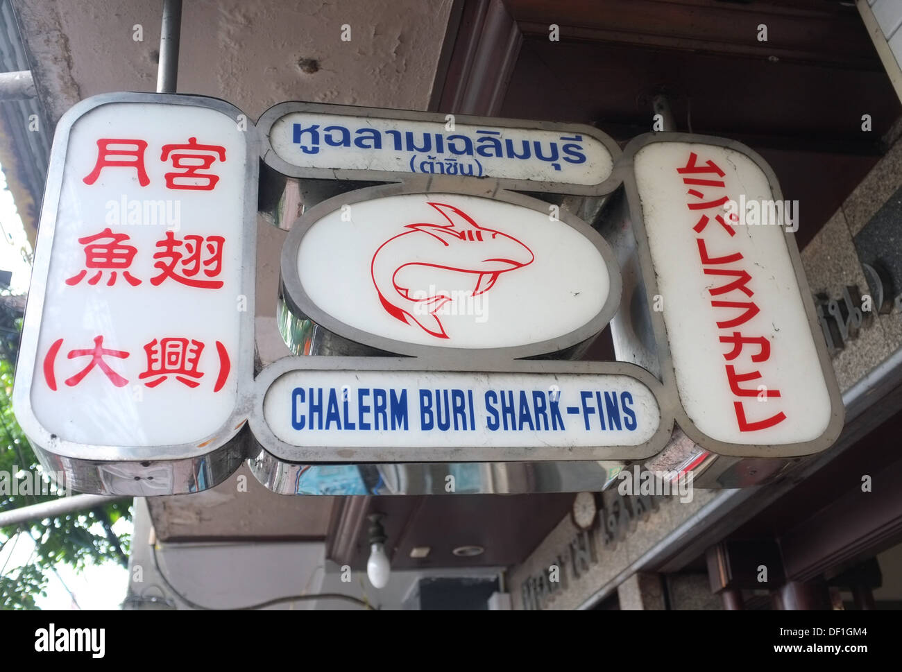 Shark finning hi-res stock photography and images - Alamy