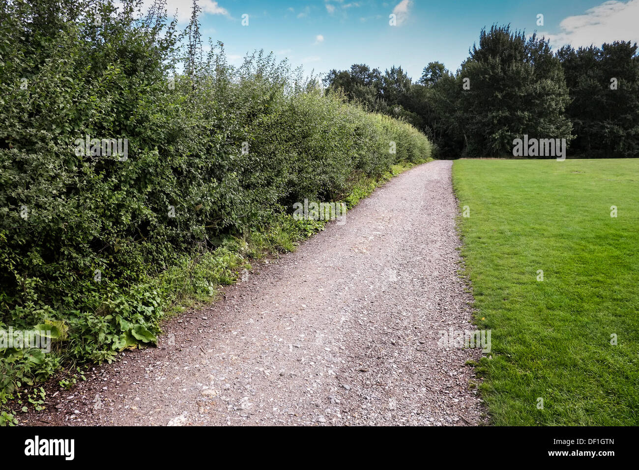 Path through hedge hi-res stock photography and images - Alamy