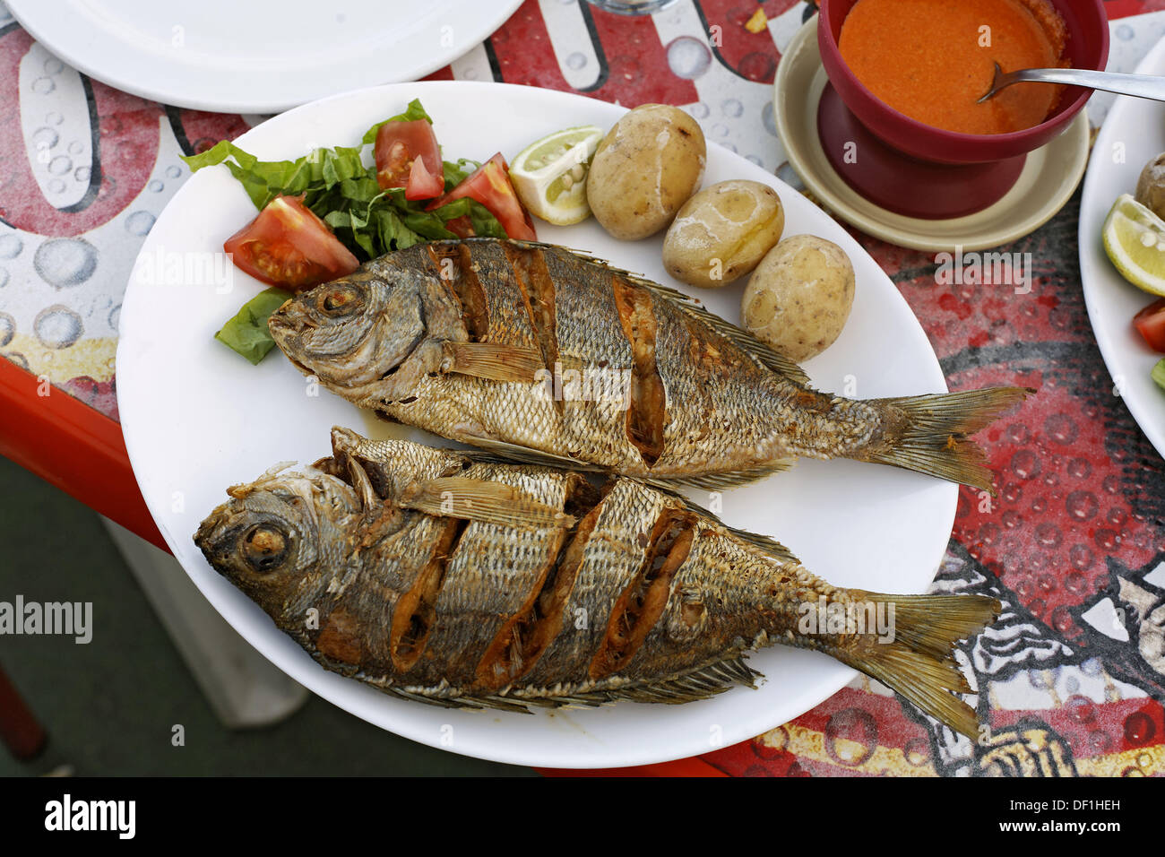 Typical fish dishes, Black Bream with ´papas arrugadas´ (wrinkly Stock ...