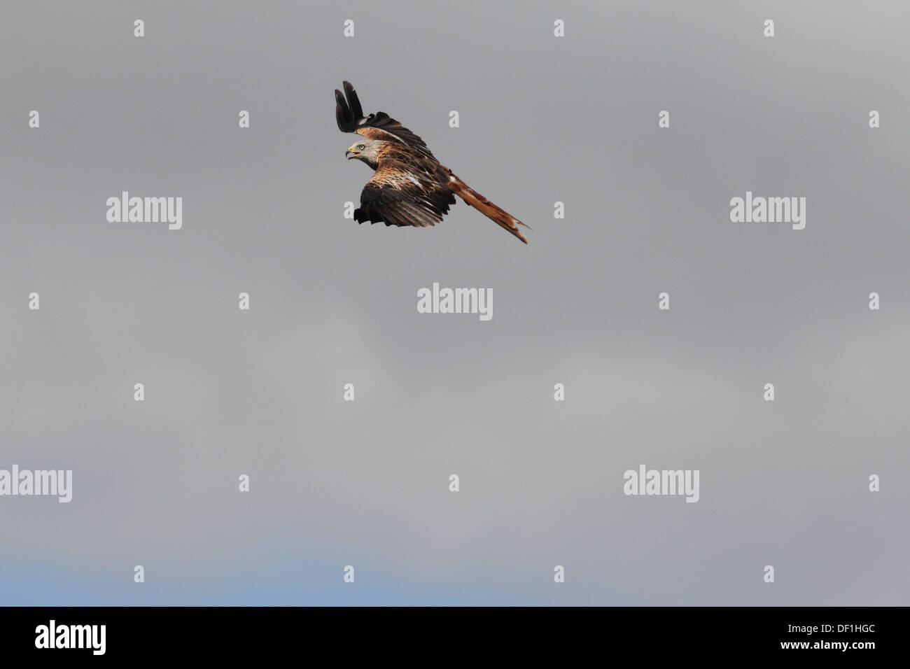 John paul gettys hi-res stock photography and images - Alamy