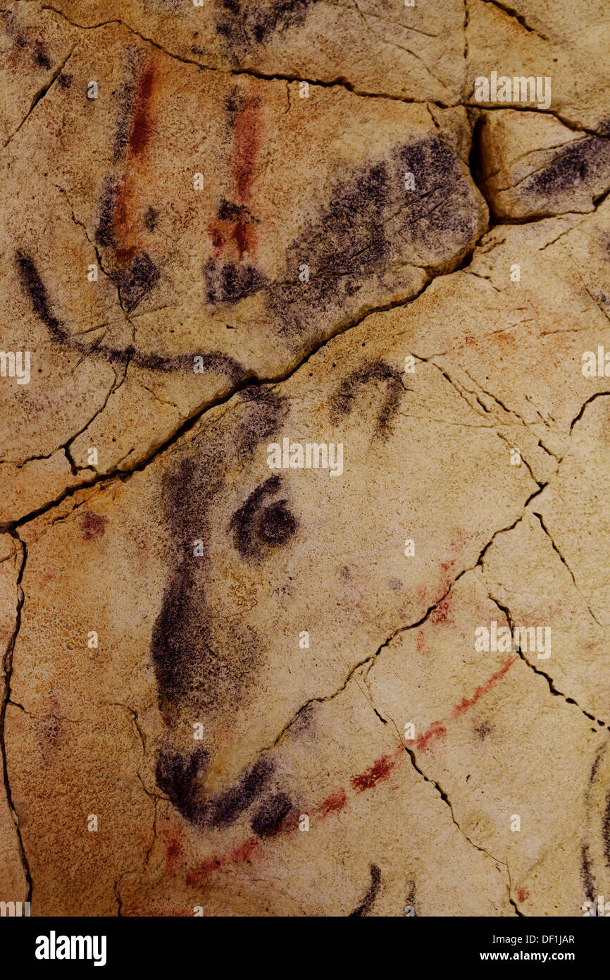 Altamira Cave Reproduction
