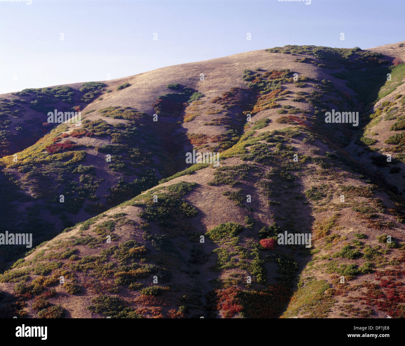 Rounded ridge hi-res stock photography and images - Alamy