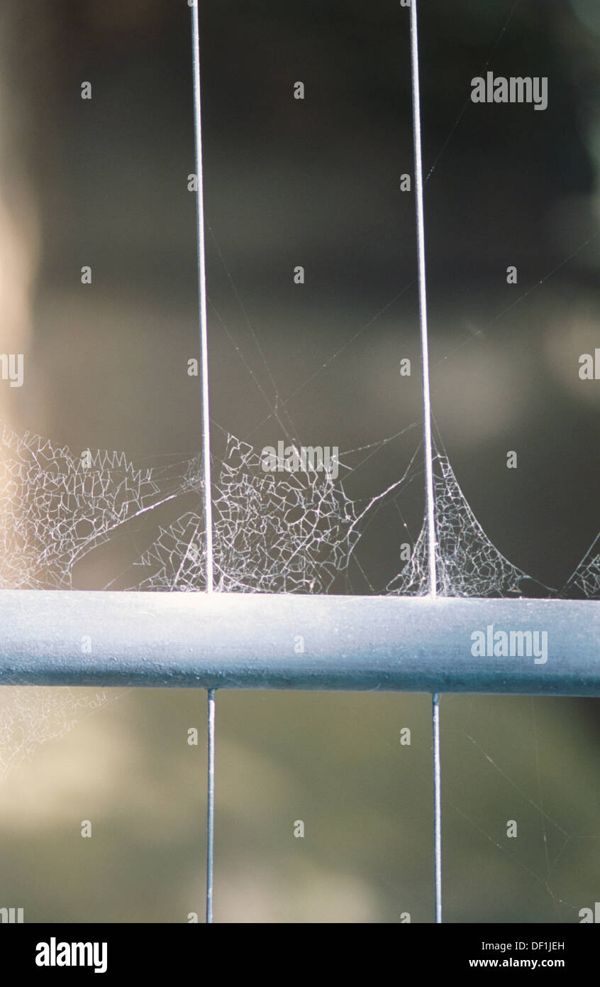 Spider Web Of Wires High Resolution Stock Photography and Images - Alamy