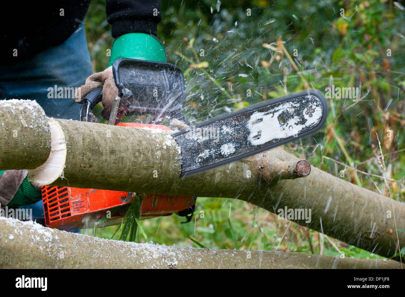 Stihl chainsaw hi-res stock photography and images - Alamy