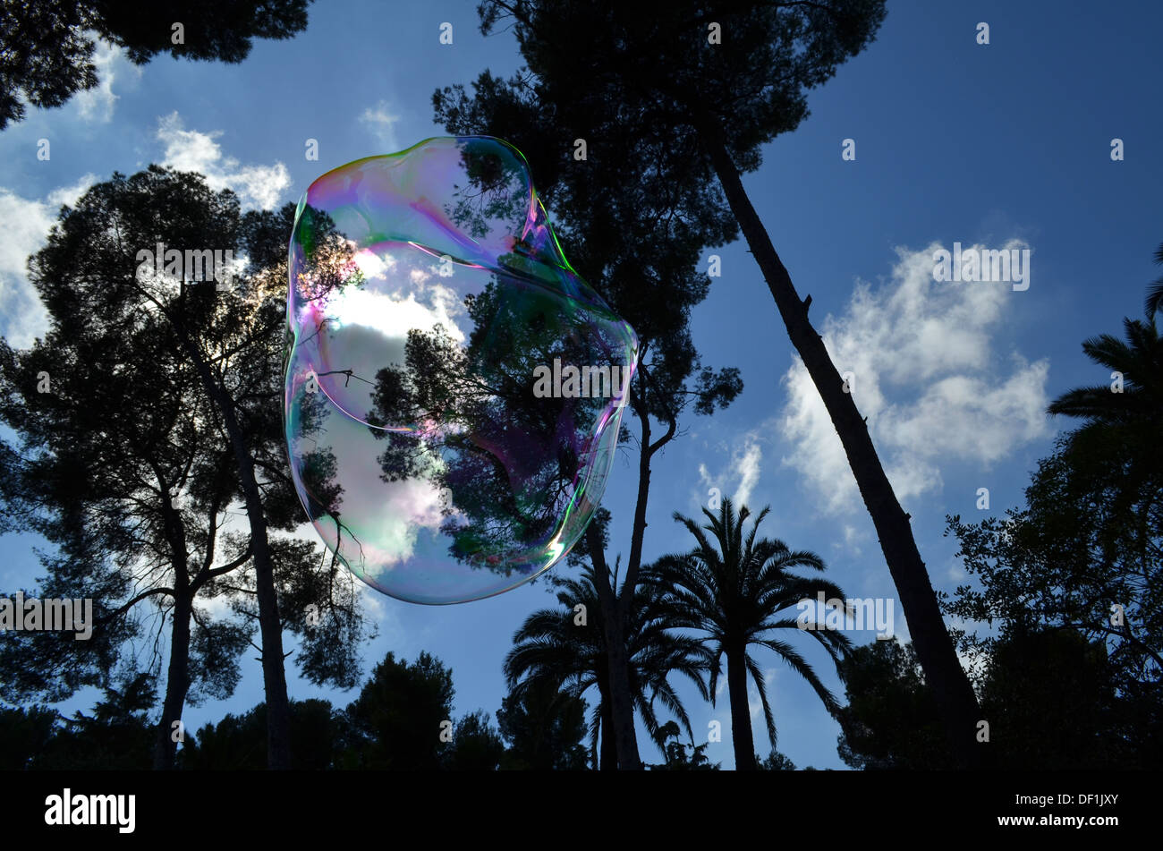 Beautiful bubble floating in a parkland setting Stock Photo - Alamy