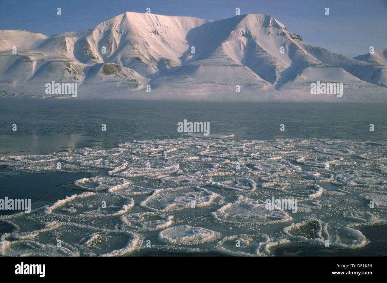 Thrombocyte Stock Photos & Thrombocyte Stock Images - Alamy