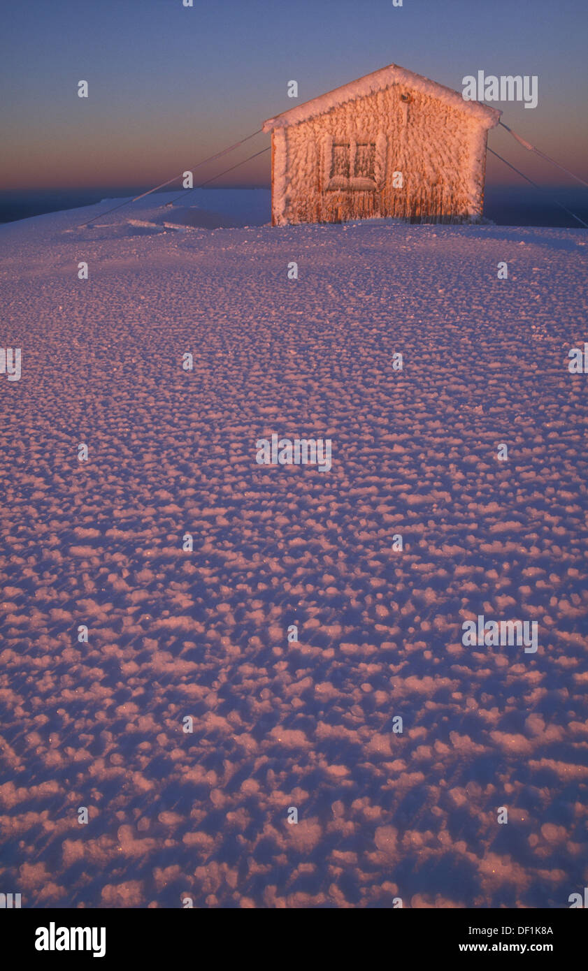 Syme hi-res stock photography and images - Alamy