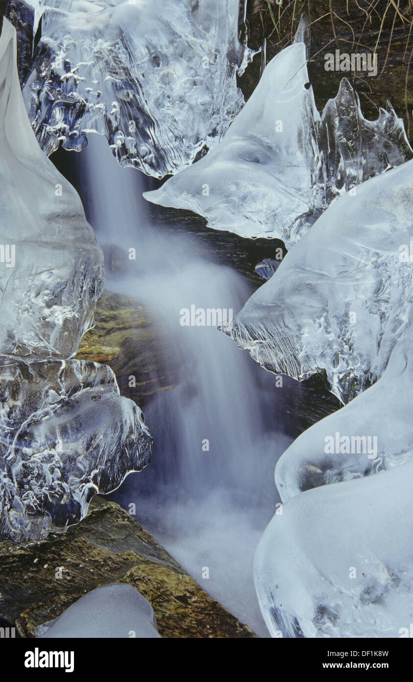 Moonlight track new zealand hi-res stock photography and images - Alamy