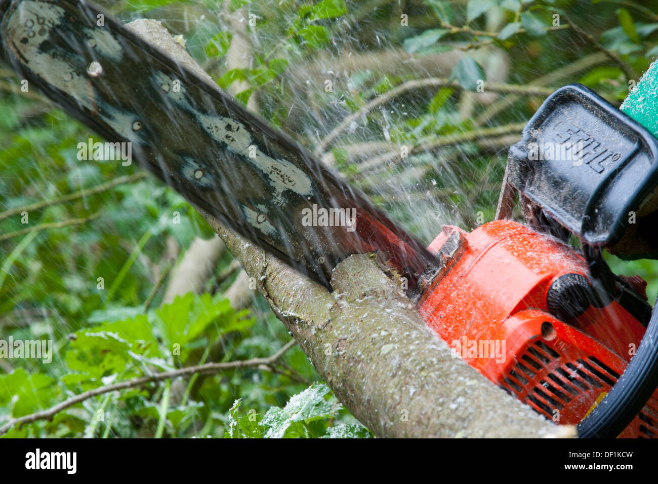 Chainsaw cutting hi-res stock photography and images - Alamy