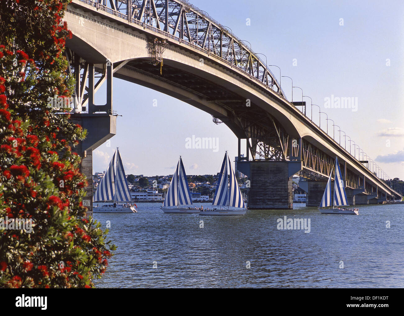 Auckland icon hi-res stock photography and images - Alamy