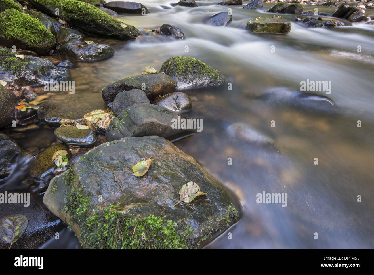 River Brock nature park Stock Photo - Alamy