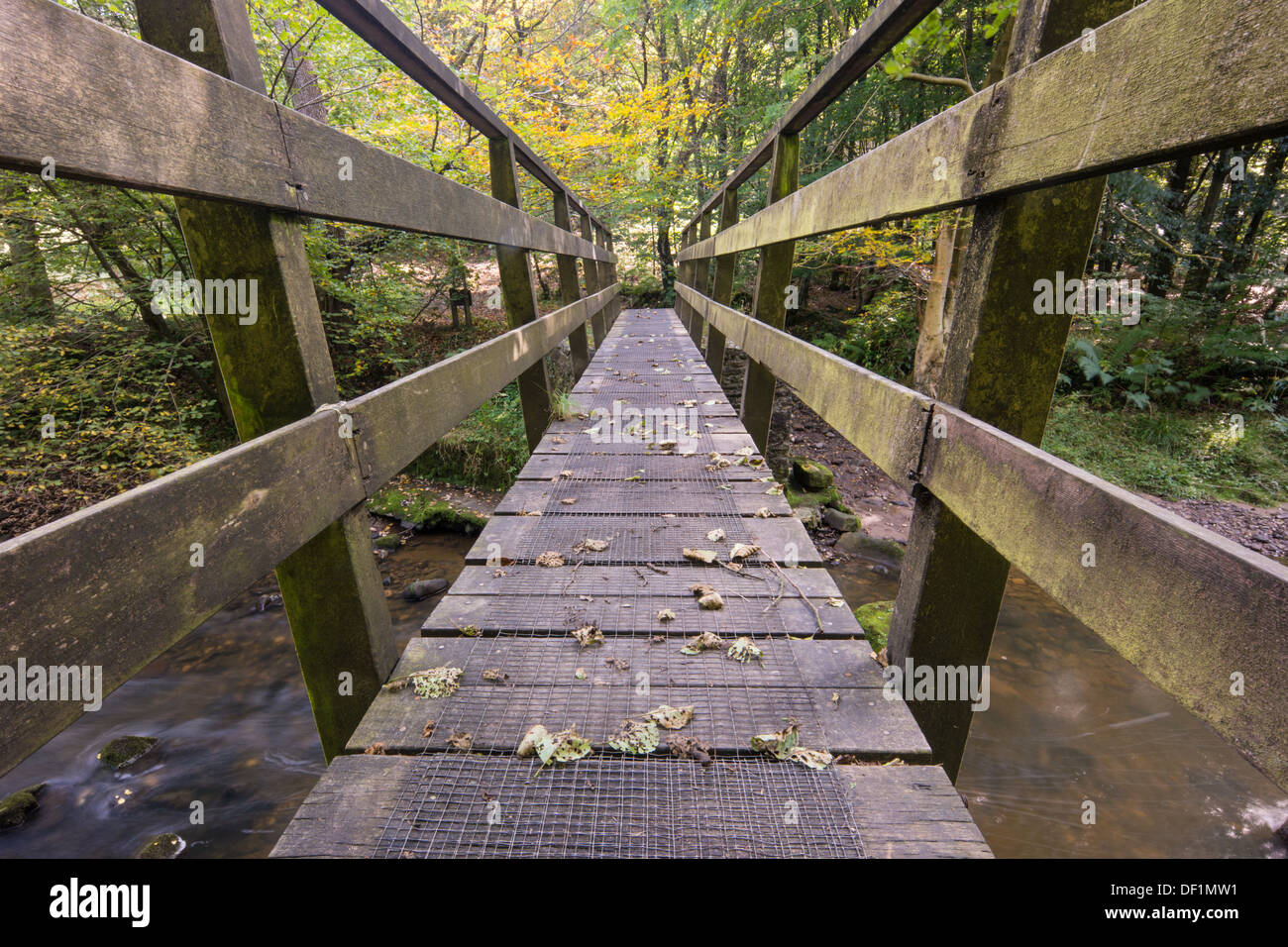 River Brock nature park Stock Photo - Alamy