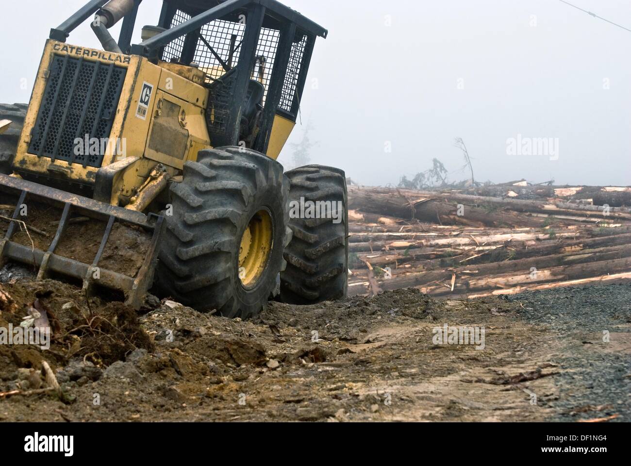 Skidder tractor logging forest hi-res stock photography and images - Alamy