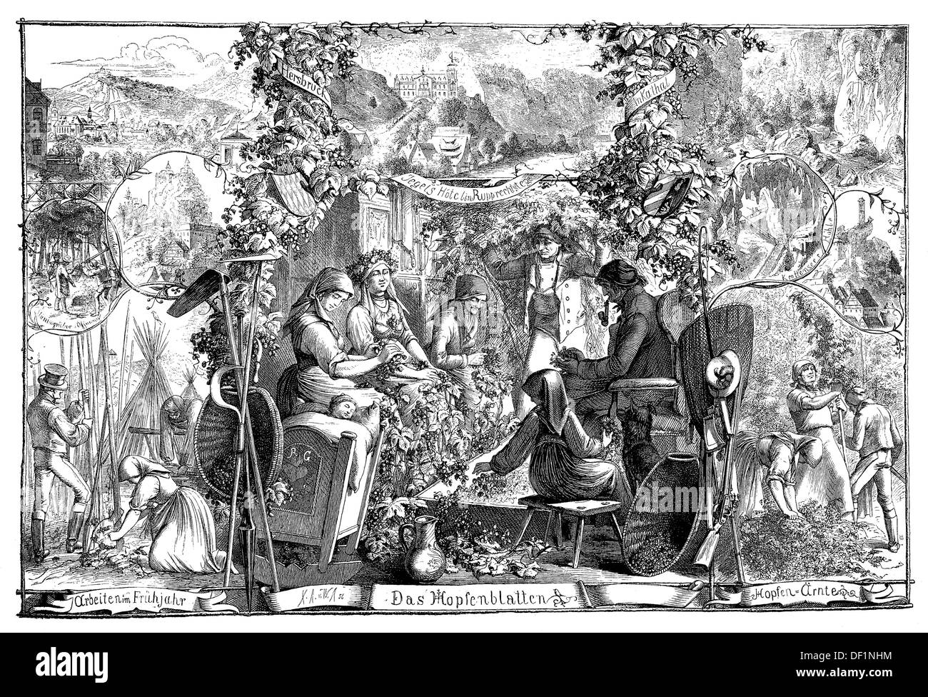 Past harvest hi-res stock photography and images - Alamy