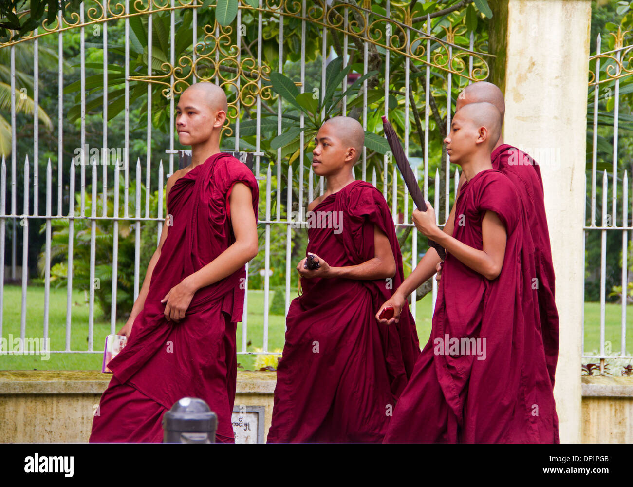 Monks Walk In A Group In Yangon Burma Stock Photo Alamy