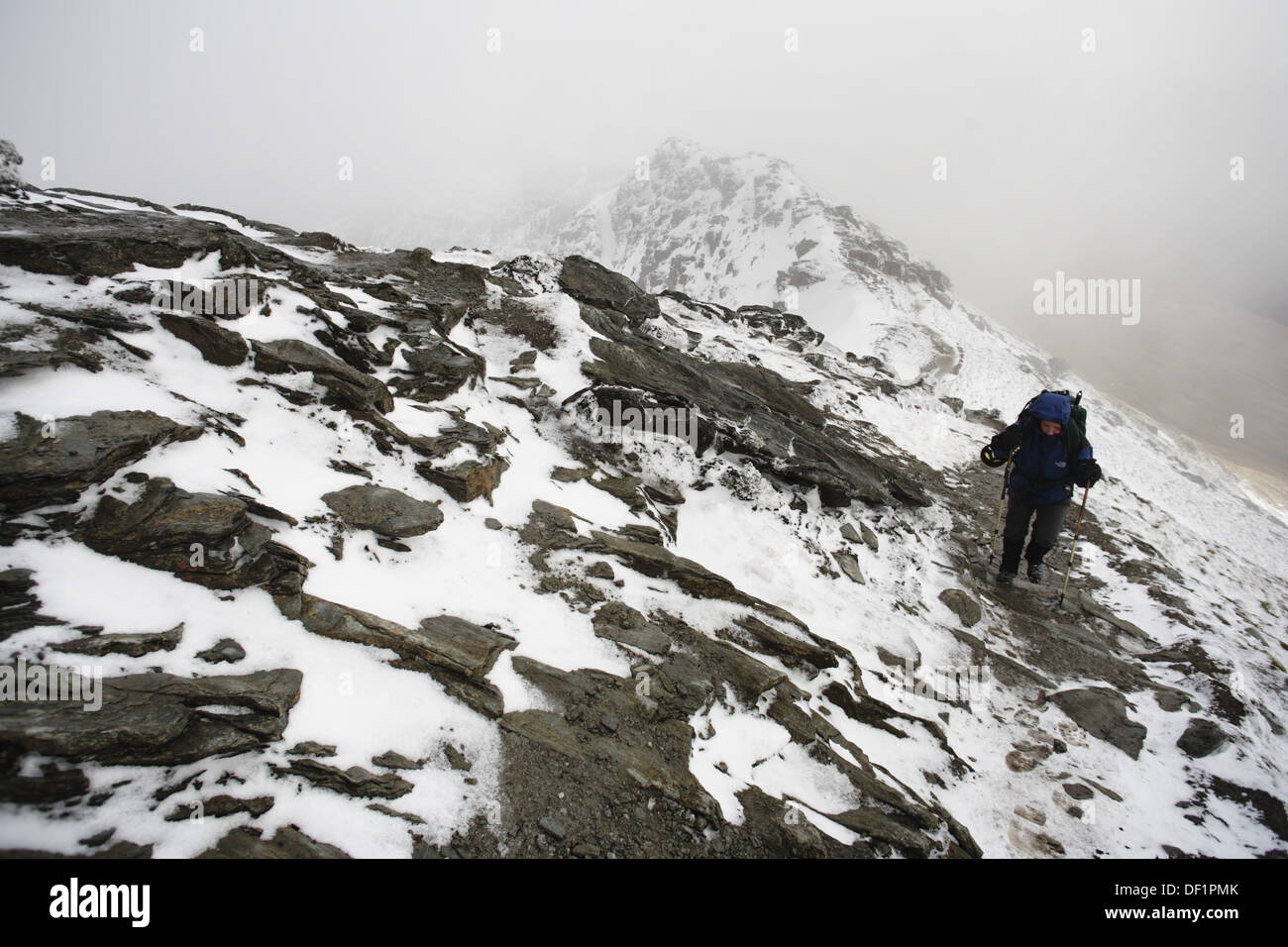 Ultra athlete Caroline Williams Stock Photo - Alamy
