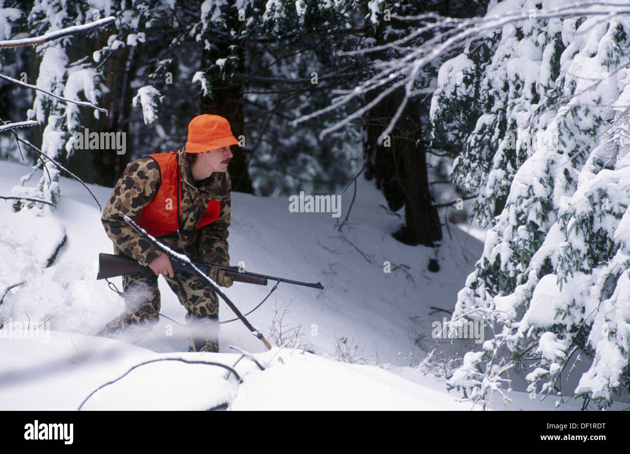 Man hunting deer hi-res stock photography and images - Alamy