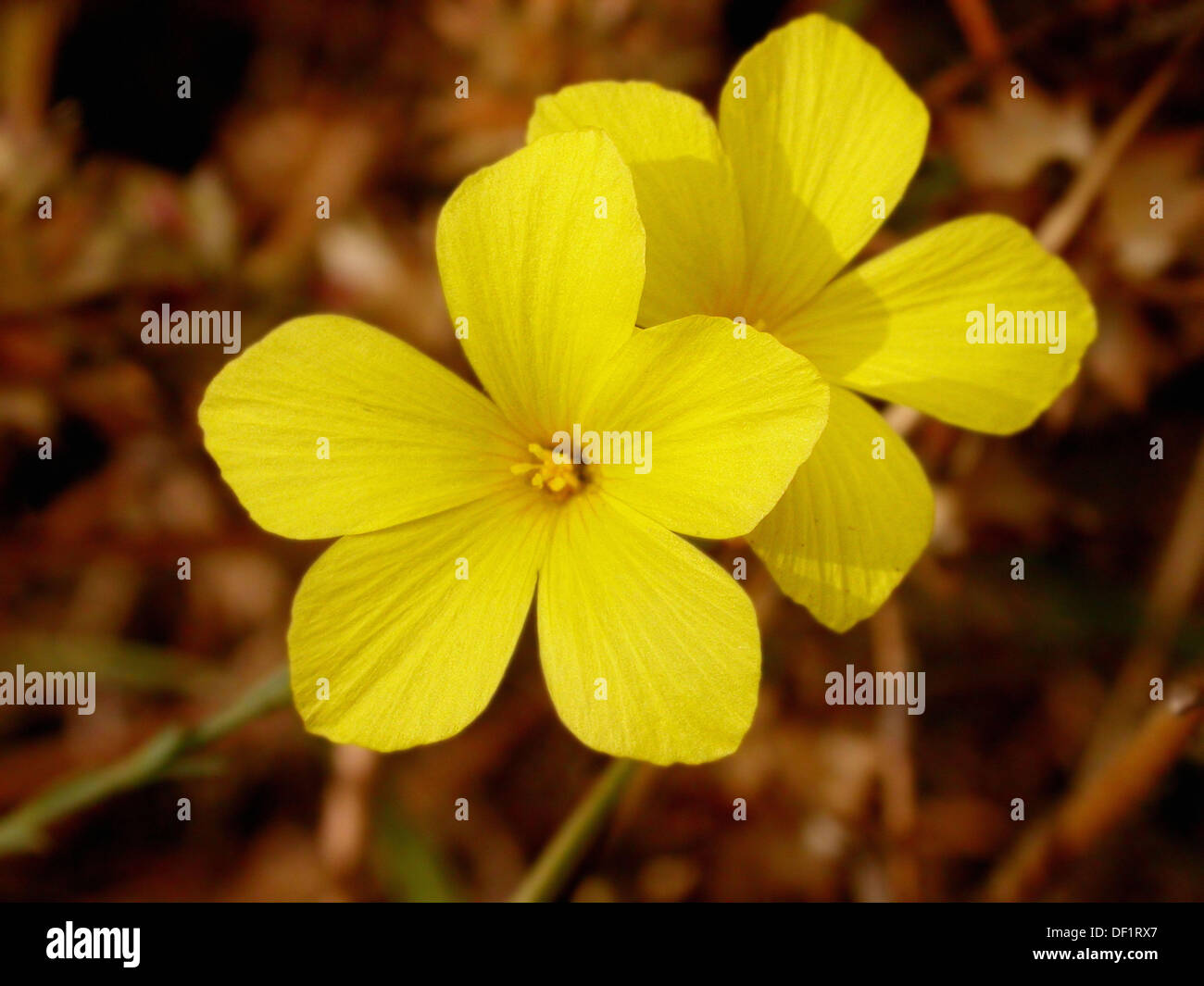 Tenue High Resolution Stock Photography and Images - Alamy