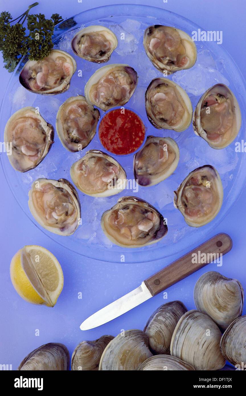 Inside a shell hi-res stock photography and images - Alamy
