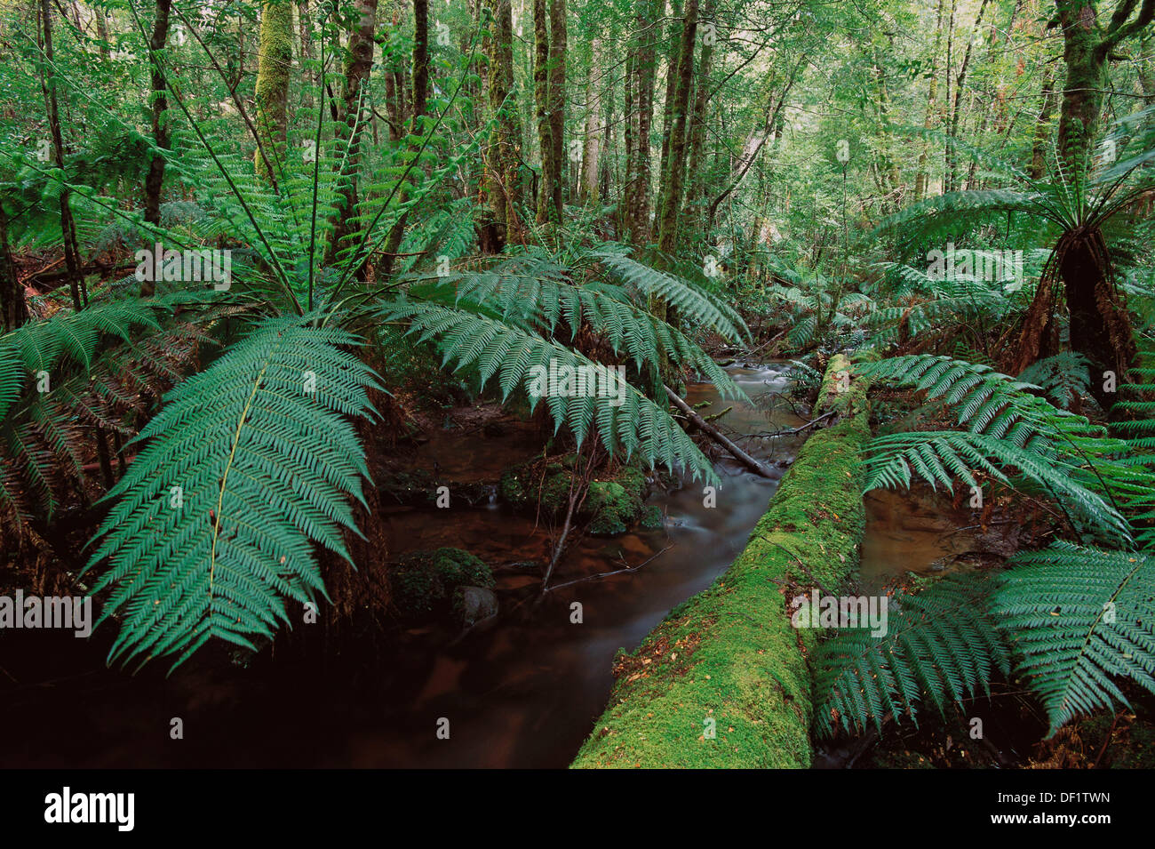 Yarra ranges creek hi-res stock photography and images - Alamy