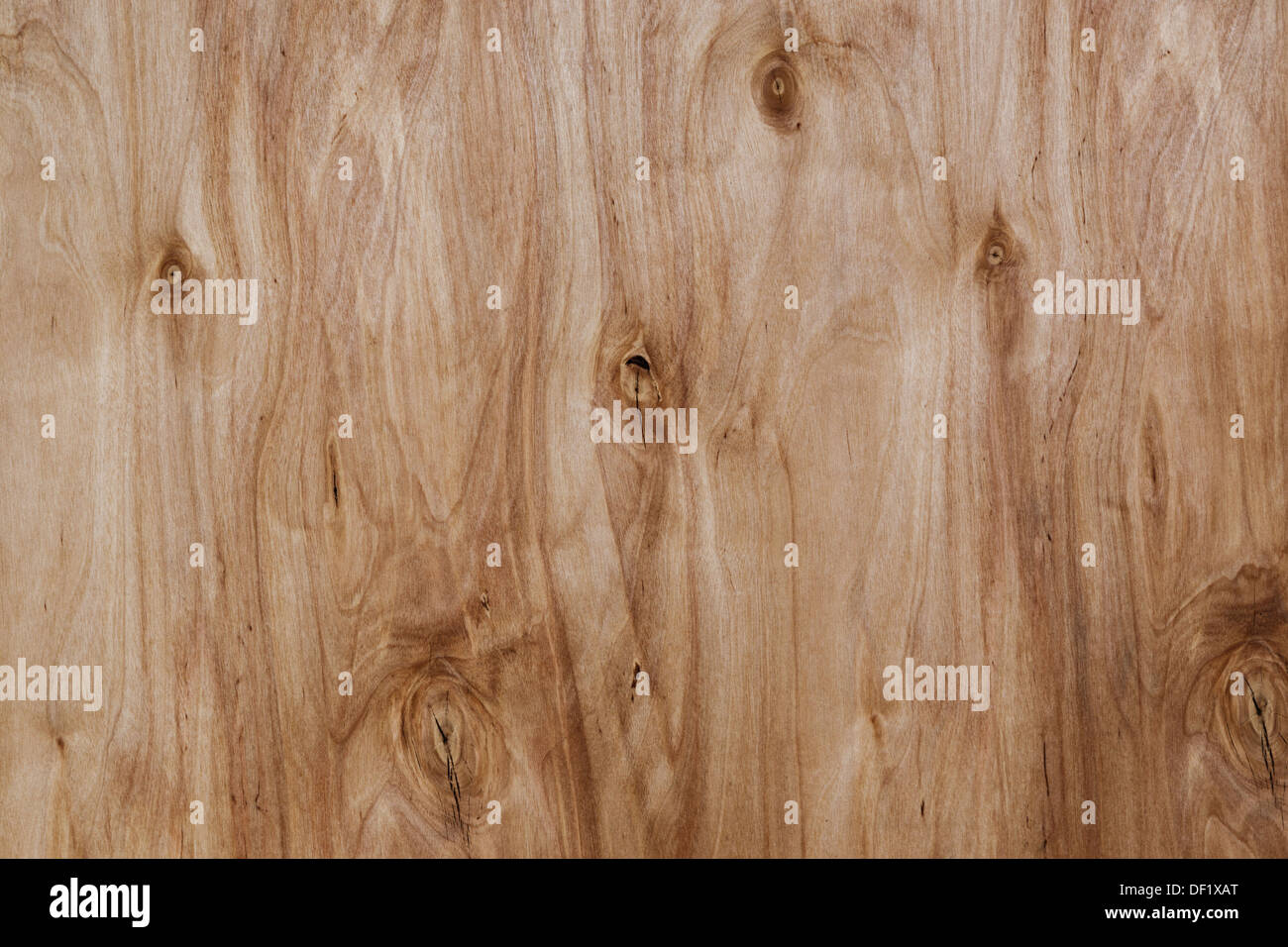 pine plywood texture, high detailed, toned good for backgrop Stock ...