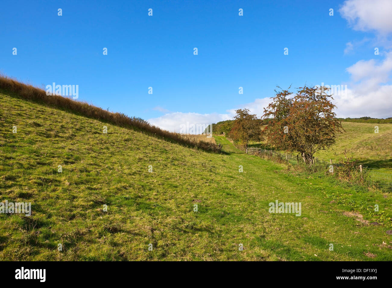 Backgroundrural hi-res stock photography and images - Alamy