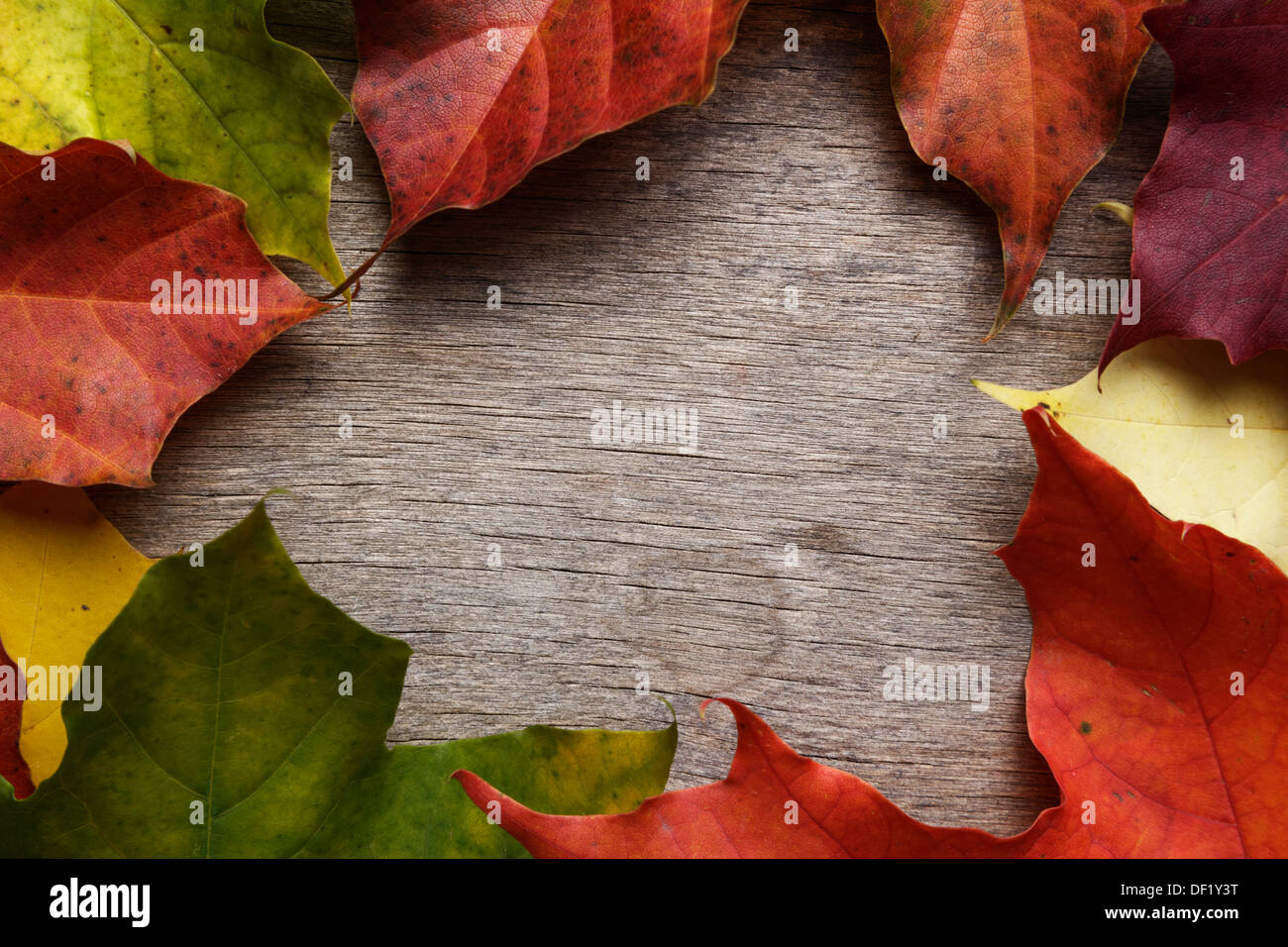frame from autumn maple leaves on wood surface, horizontal Stock Photo ...