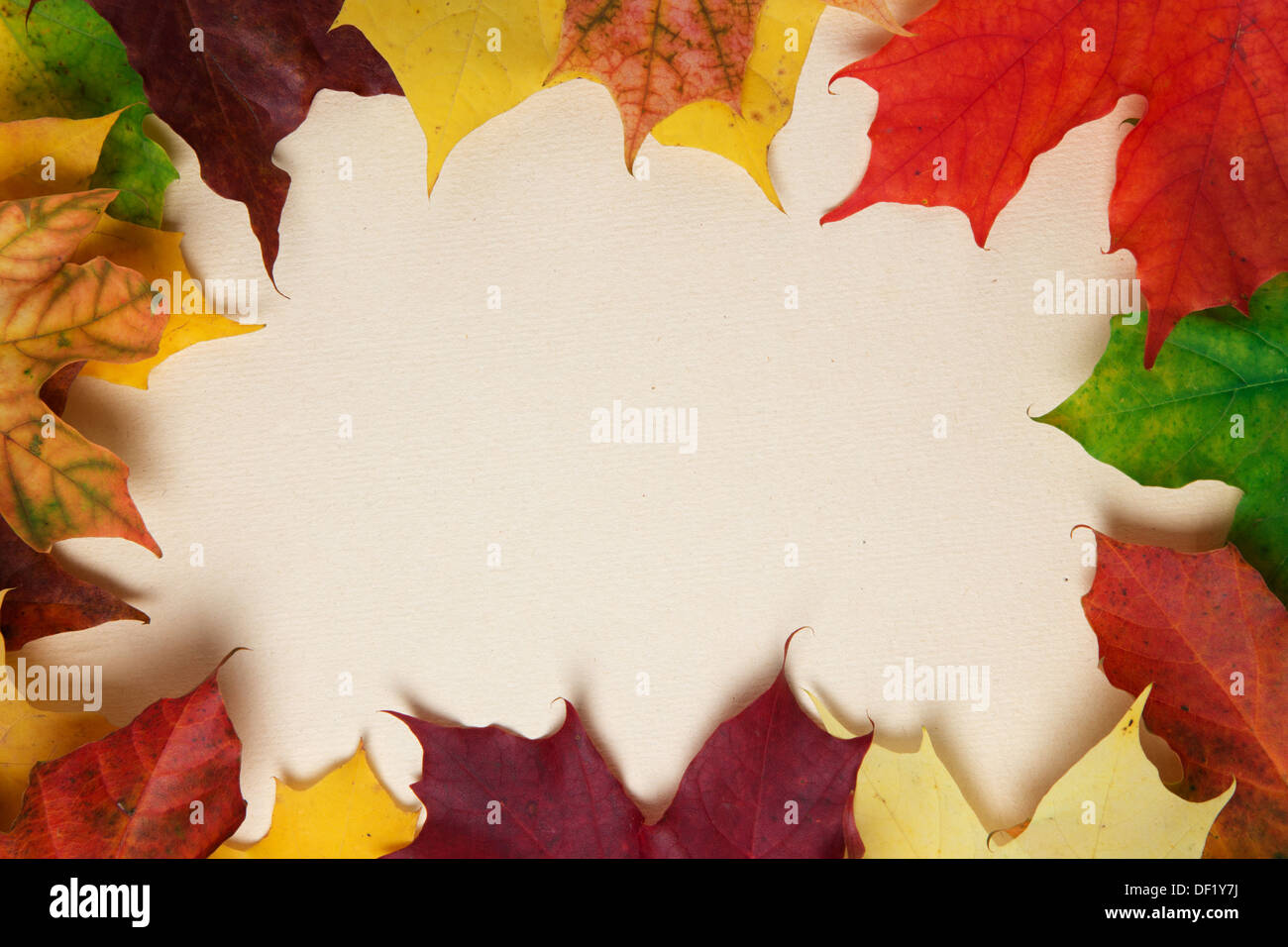 autumn maple leaves on paper surface, horizontal Stock Photo - Alamy