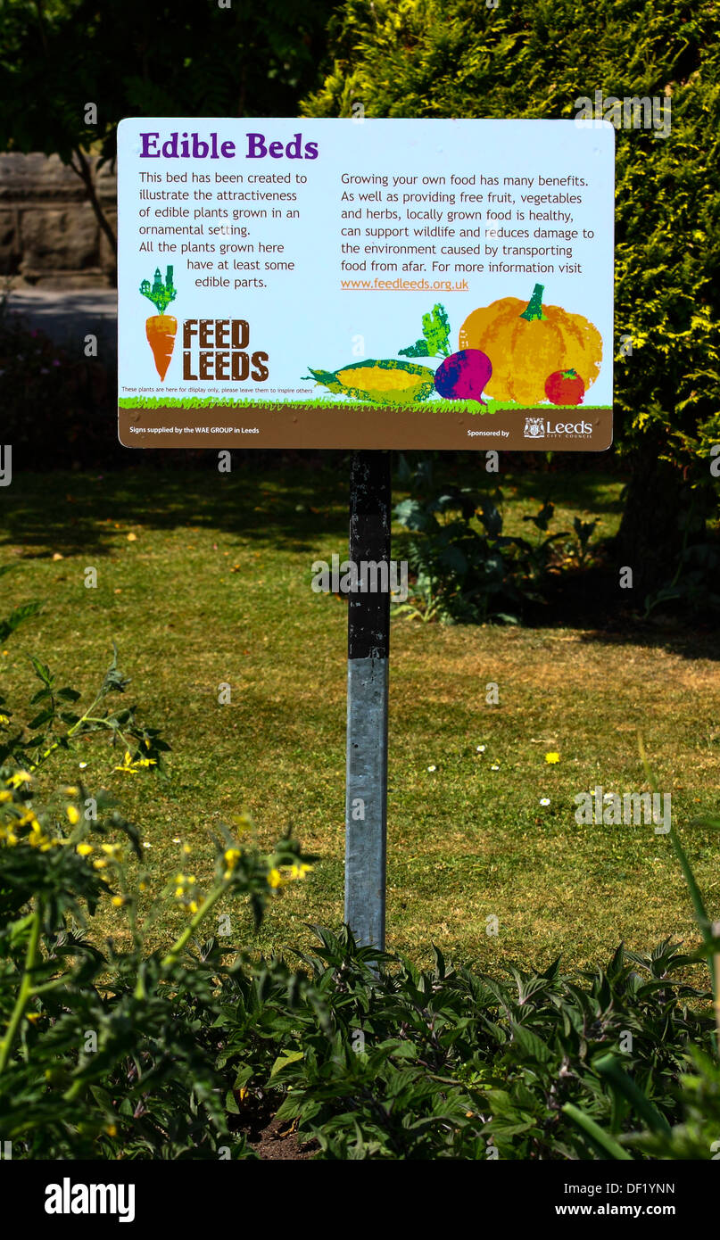 Feed Leeds promotion - Edible vegetable bed at Otley, Yorkshire Stock ...