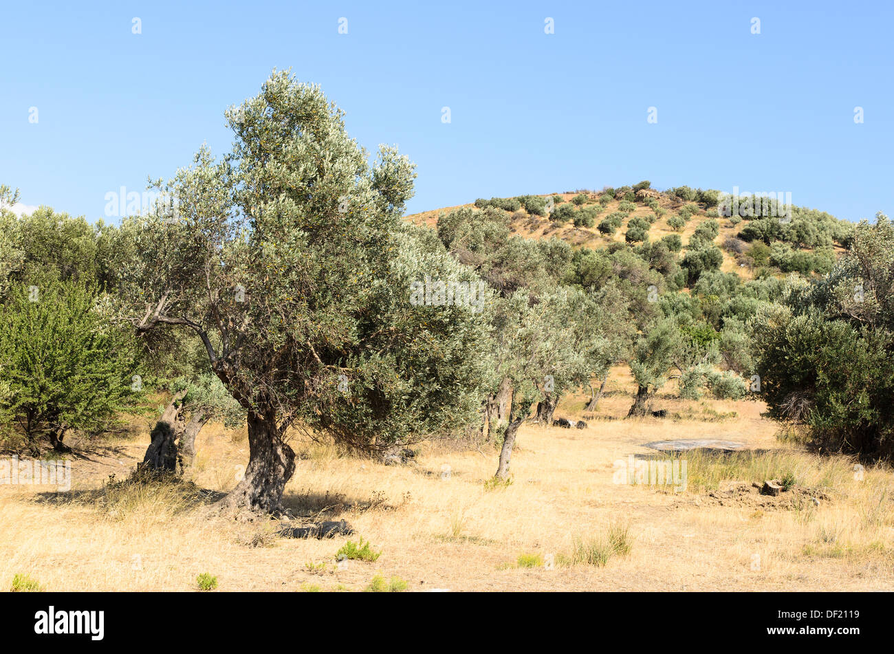 Rural scene exterior hi-res stock photography and images - Alamy