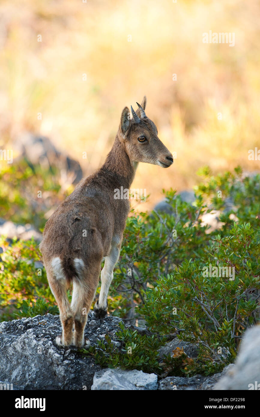 Orientacion vertical hi-res stock photography and images - Alamy
